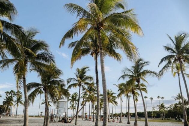Why Having Your Own Transportation Can Transform a Miami Trip ...